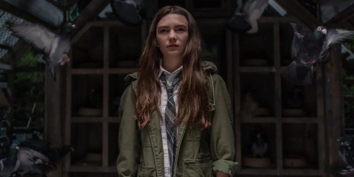 Little Wing: The True Story of a Little Girl From Massachusetts