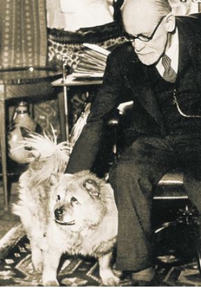 Freud's Last Session: What Happened to Sigmund Freud's Dog Jofi?