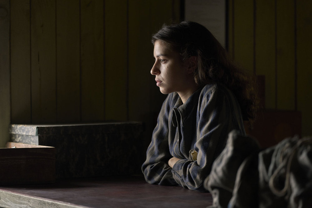 Cecilia “Cilka” Kovach: What Happened to the Holocaust Survivor?