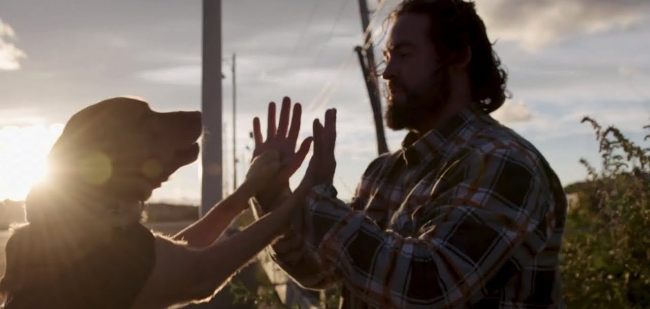 10 Movies Like Megan Leavey You Must See