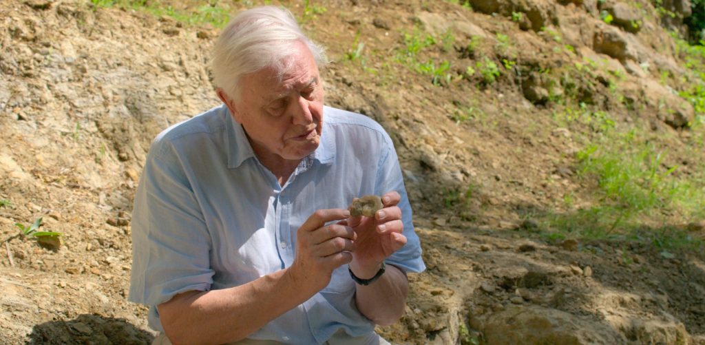 11 Best Movies About Climate Change on Netflix Right Now