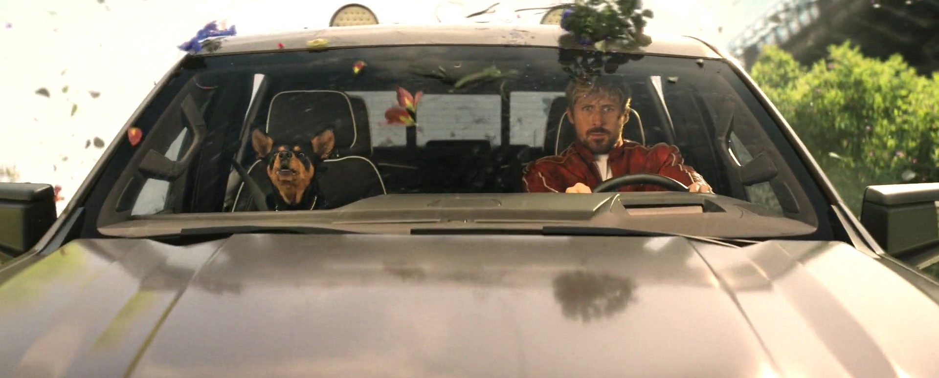 Is Jean-Claude a Real Dog? Was He Really a Part of The Fall Guy Stunts?