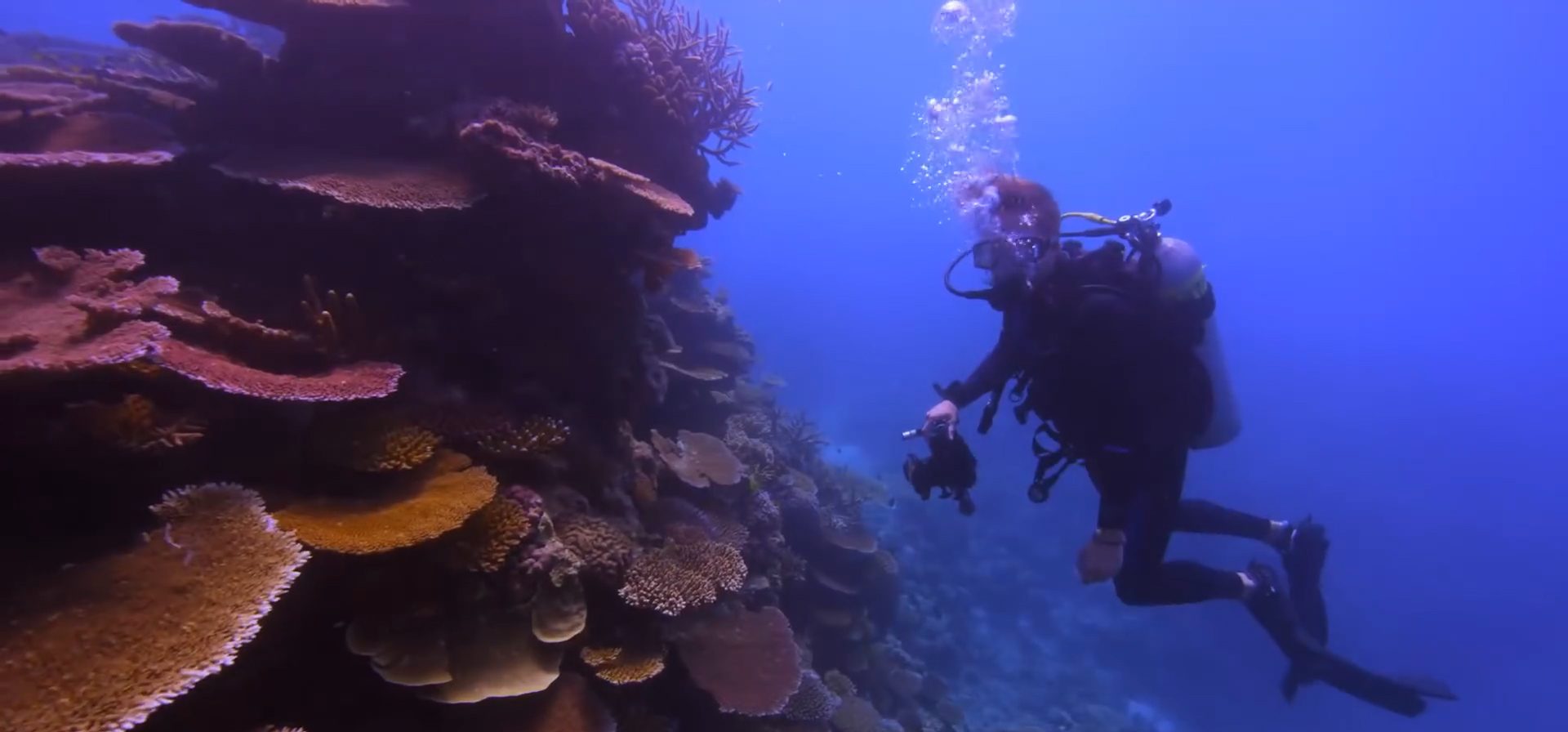 13 Best Movies About Climate Change on Netflix Right Now