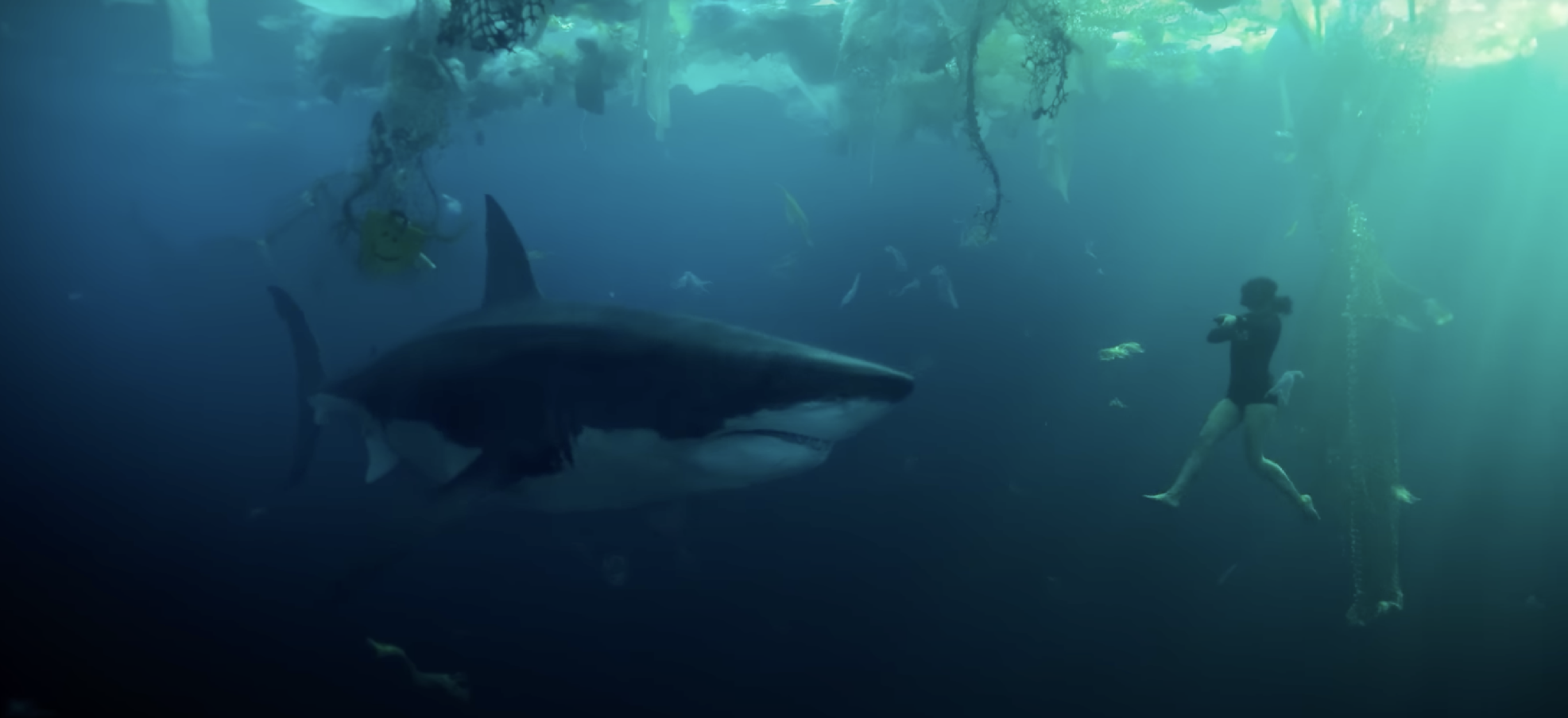 7 Best Shark Movies and TV Shows on Netflix Right Now