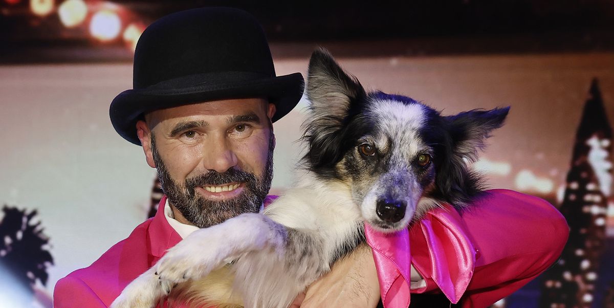 America's Got Talent Renewed For Season 20 at NBC