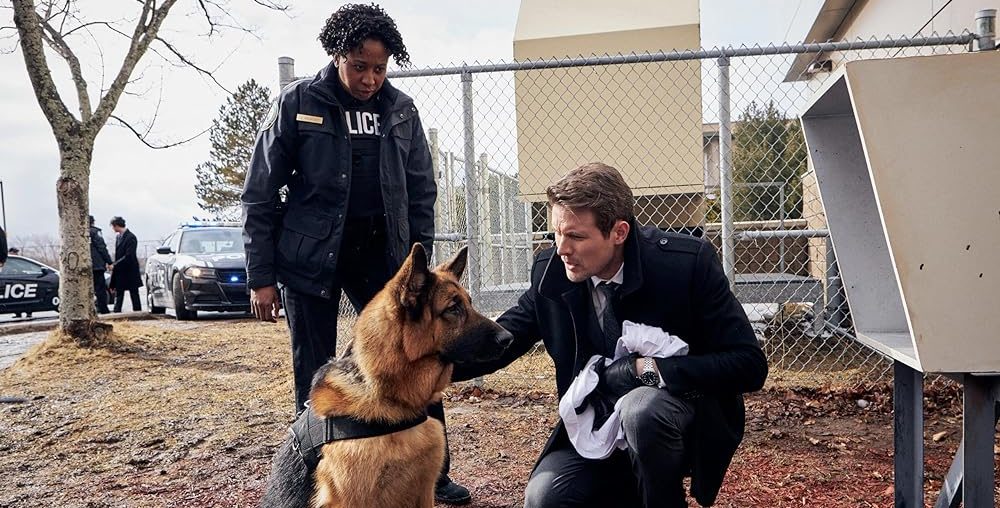 Hudson & Rex Renewed For Season 7 at Citytv