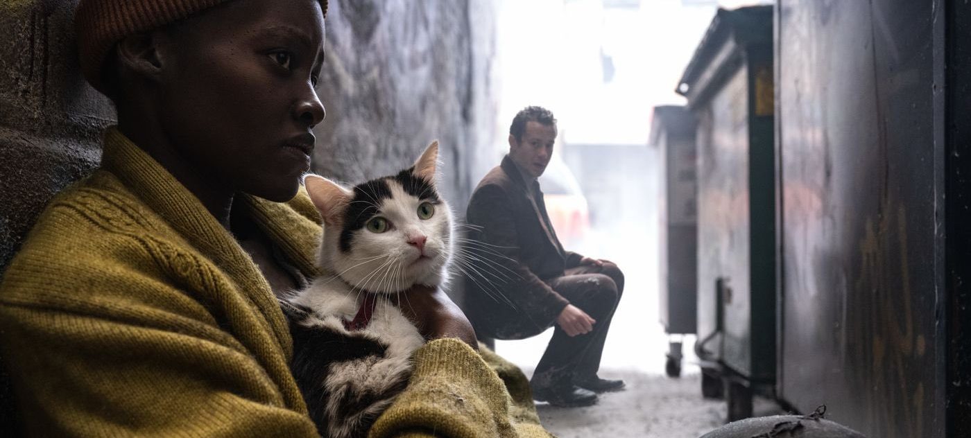 A Quiet Place Day One: Did Frodo the Cat Die?