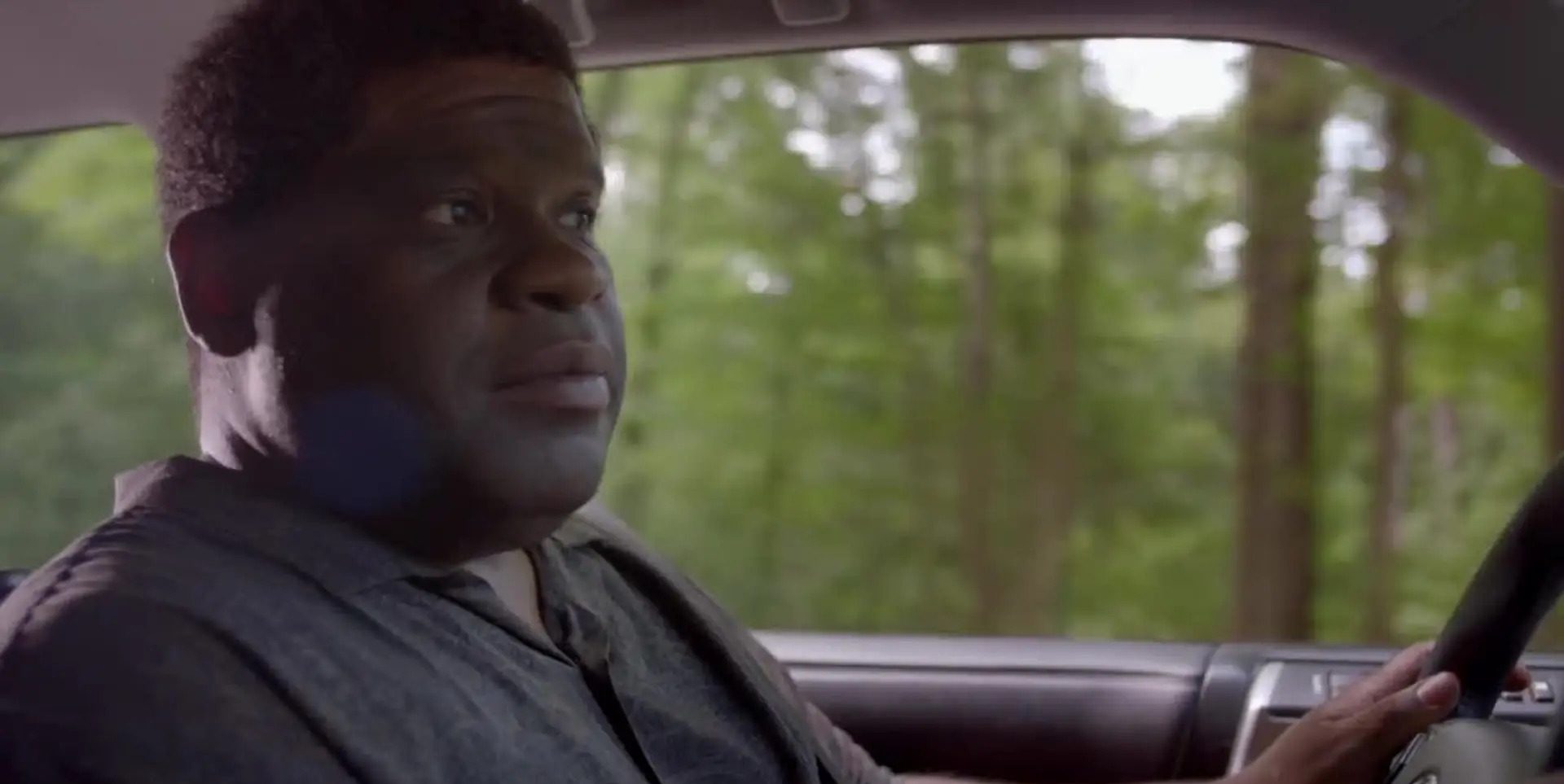 12 Best Movies and Shows About Donald Trump on Netflix, Hulu, Max, Prime