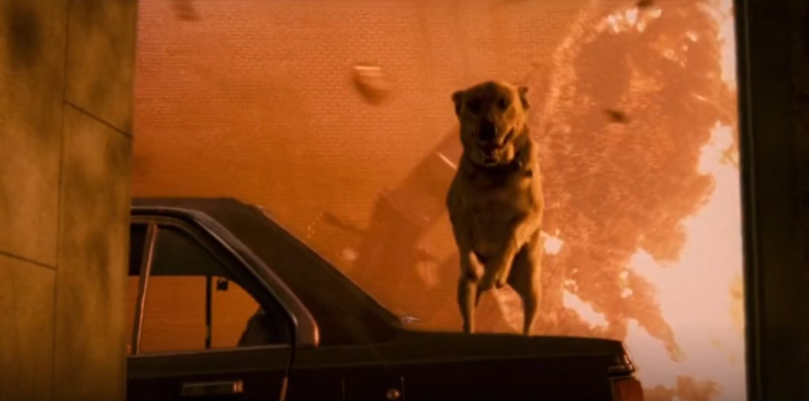 Independence Day: Does Boomer The Dog Die?