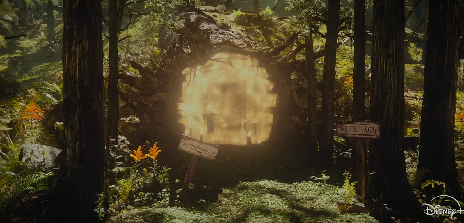 Descendants The Rise of Red (2024): Where Was the Disney+ Movie Filmed?