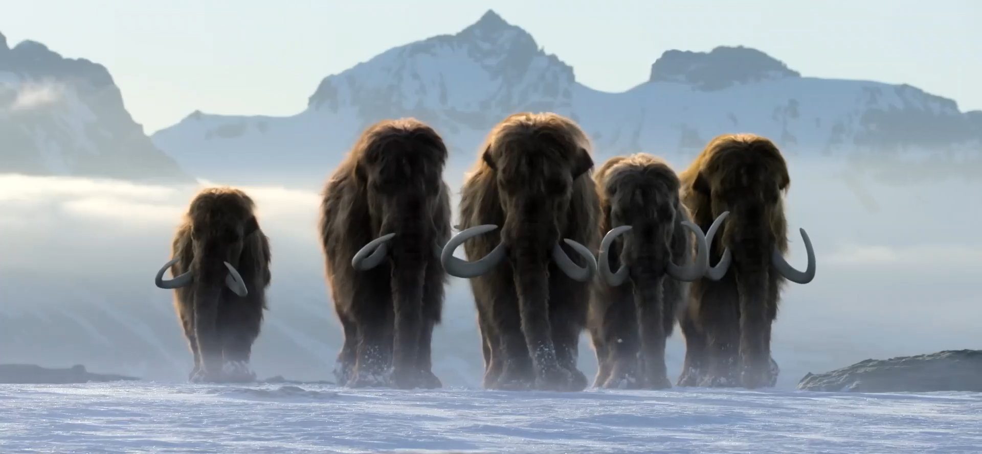 20 Best Nature Documentaries on Netflix Right Now