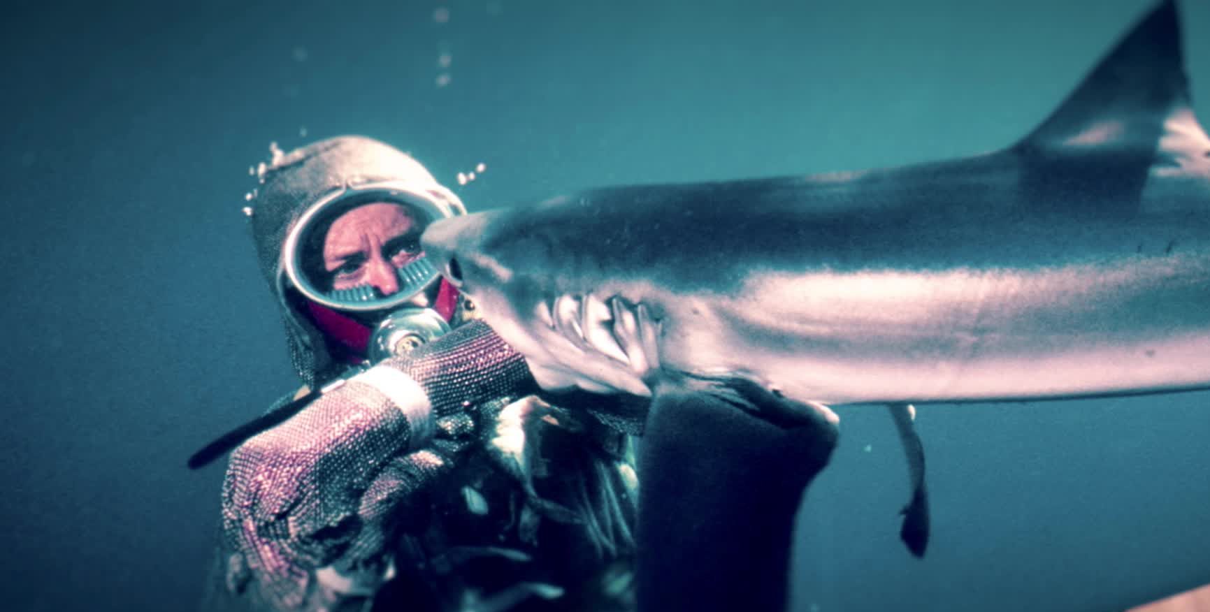 12 Best Movies on Sharks on Disney+ Right Now