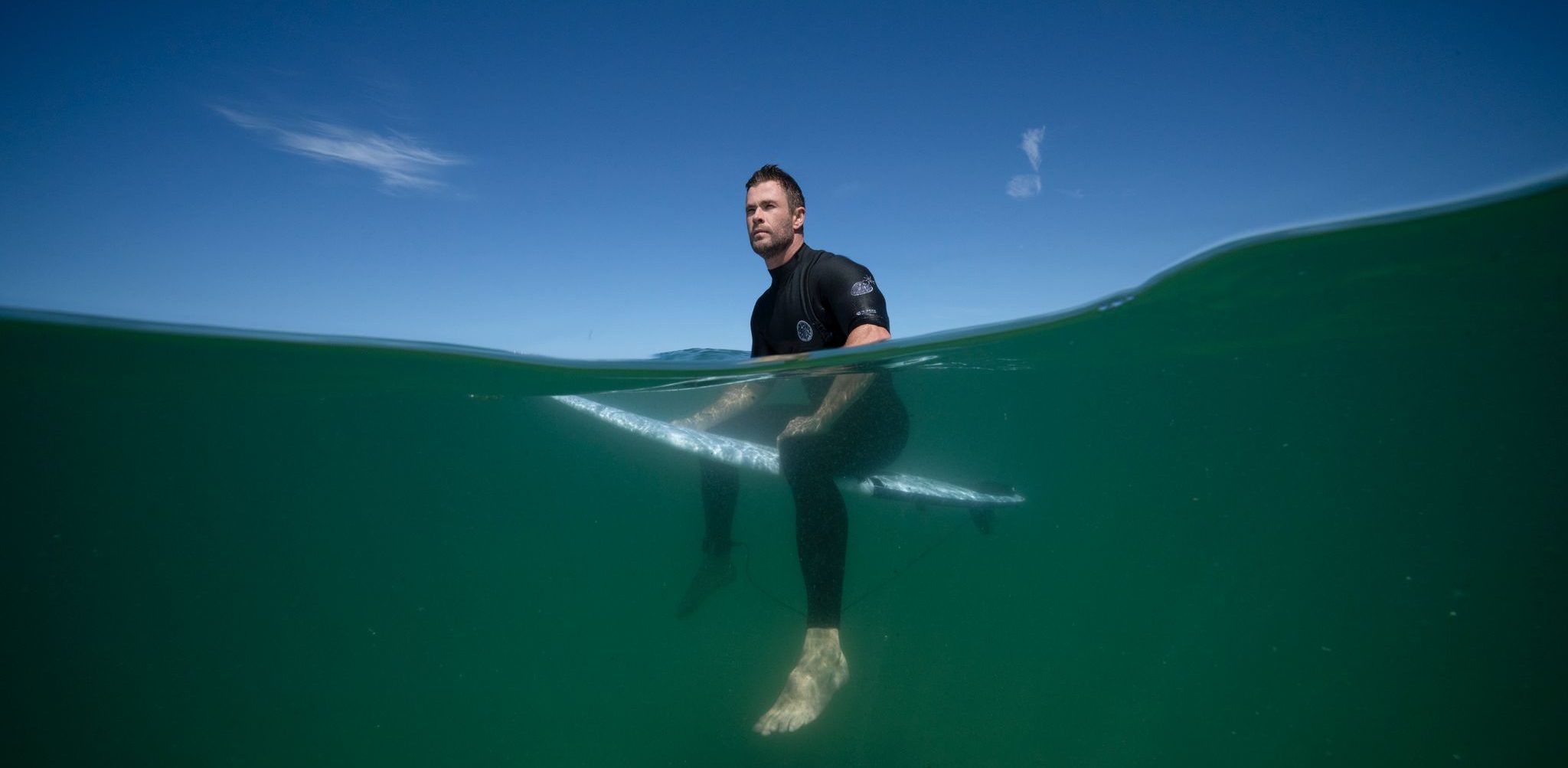 12 Best Movies on Sharks on Disney+ Right Now