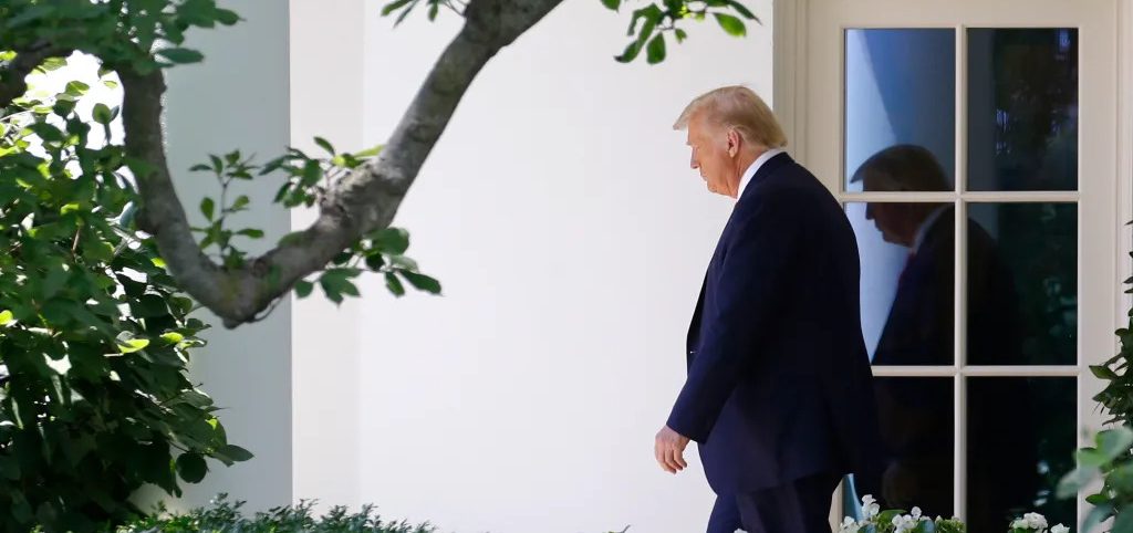 11 Best Movies and Shows About Donald Trump on Netflix, Hulu, Max, Prime