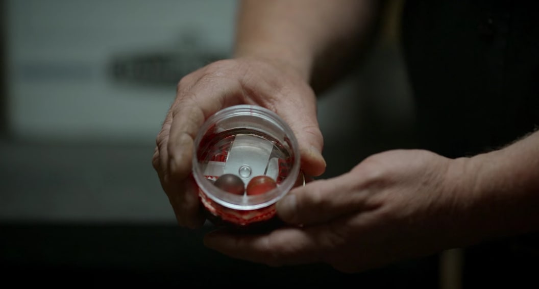 The Case of Severed Head in Unsolved Mysteries, Explained