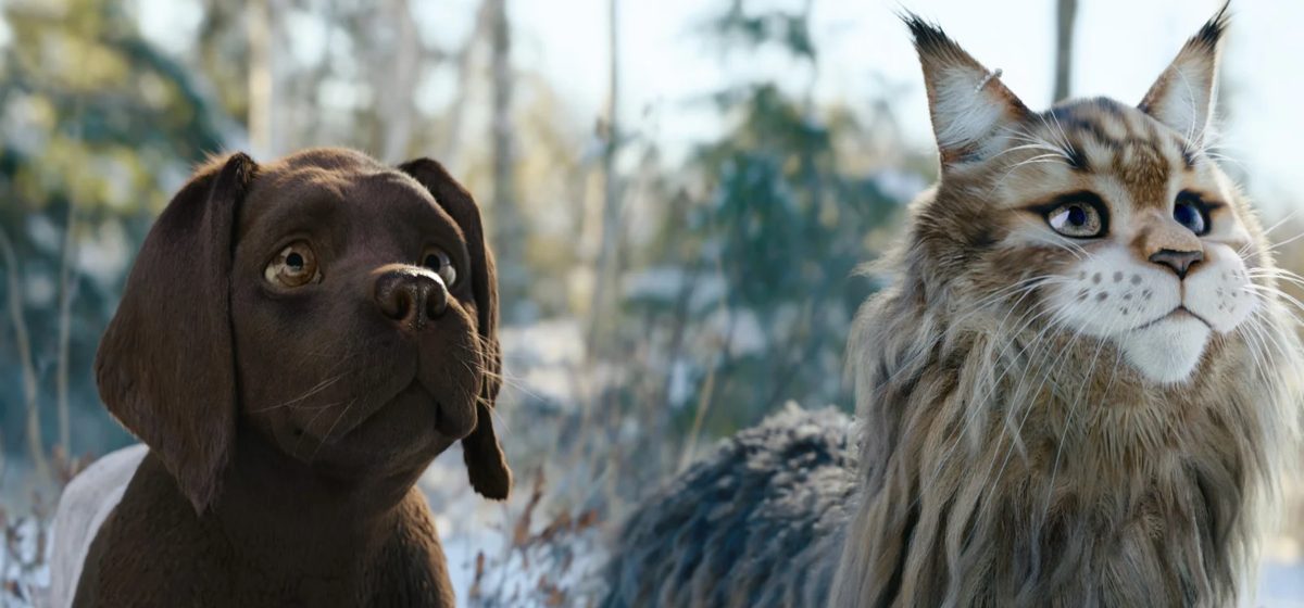 15 Best Dog Movies on Netflix Right Now