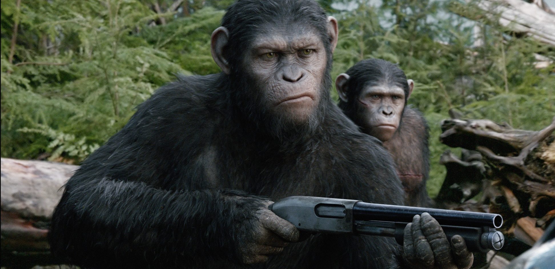 8 Best Post-Apocalyptic Movies on Hulu Right Now