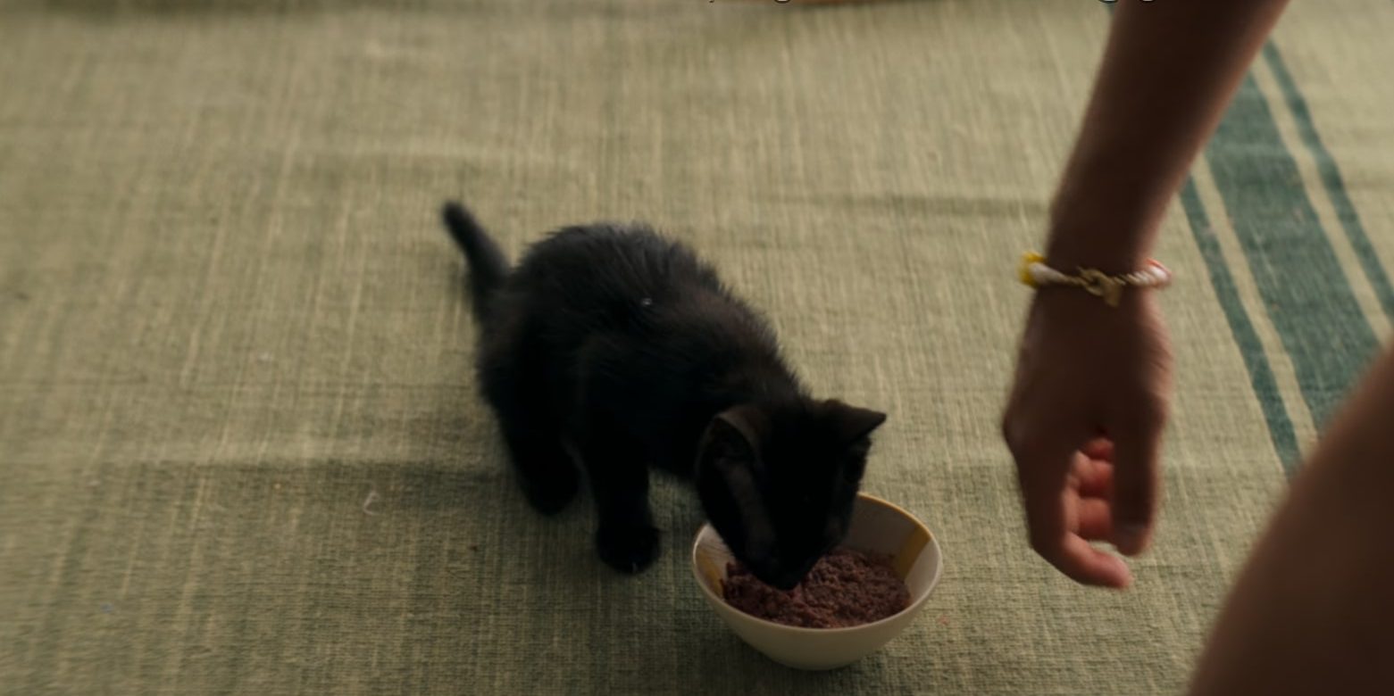 Kaos: Does Dennis the Cat Die?