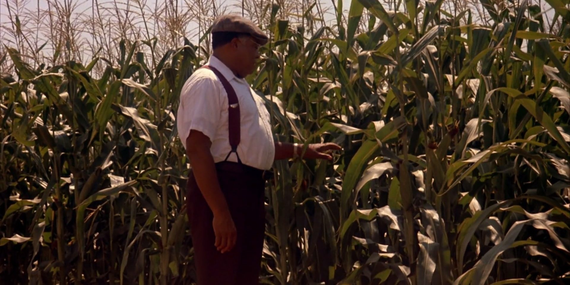 What Happens to Terrance Mann at the End of Fields of Dream? Was He a Real Person?