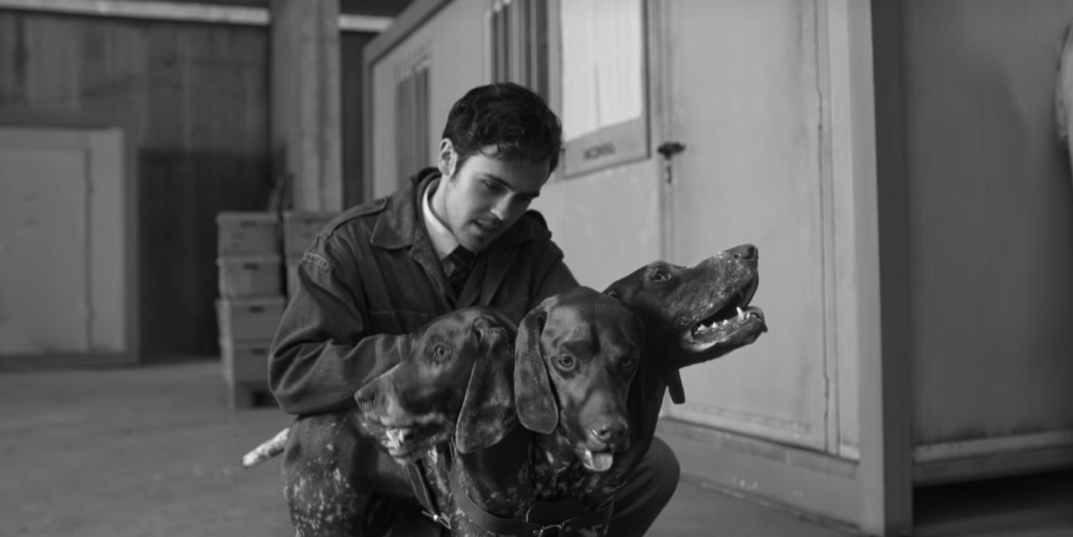 Kaos: Does Fotis the Dog Die?