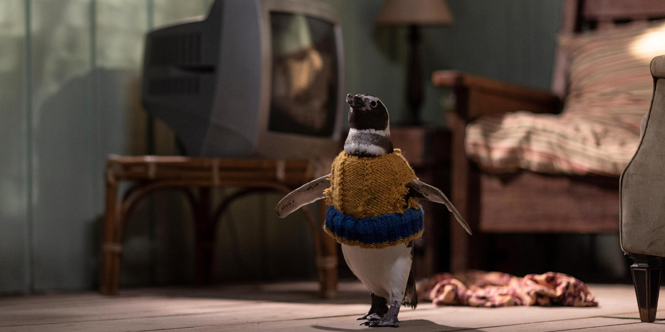 My Penguin Friend's True Story, Explained