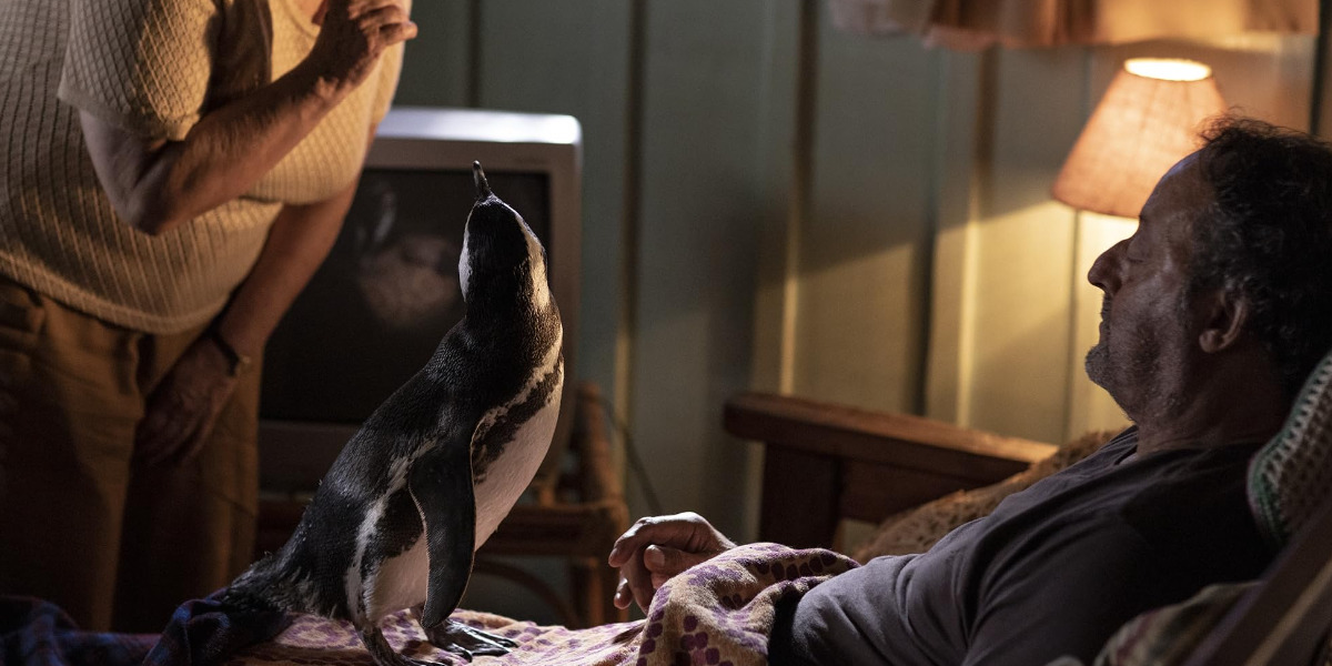 My Penguin Friend's True Story, Explained