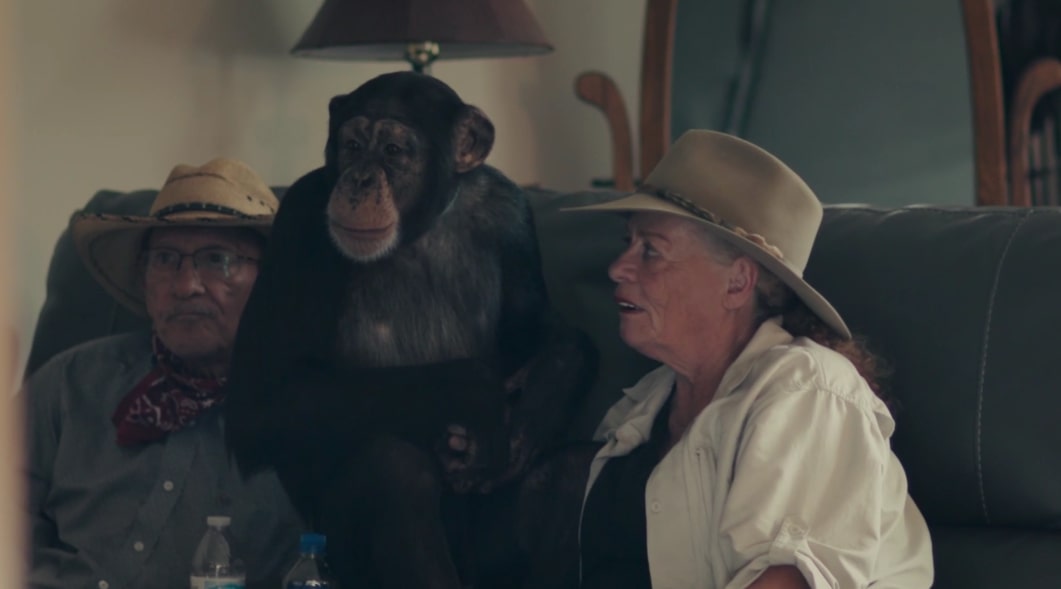 Pam Rosaire: Where is the Chimpanzee Trainer Today?