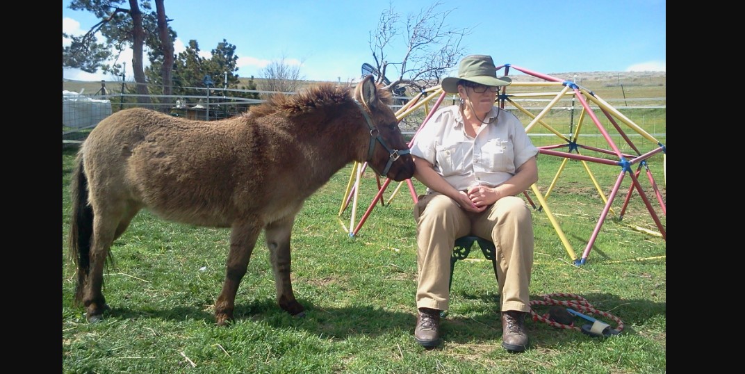 Tamara Brogoitti: Where is Buck’s Owner Today?