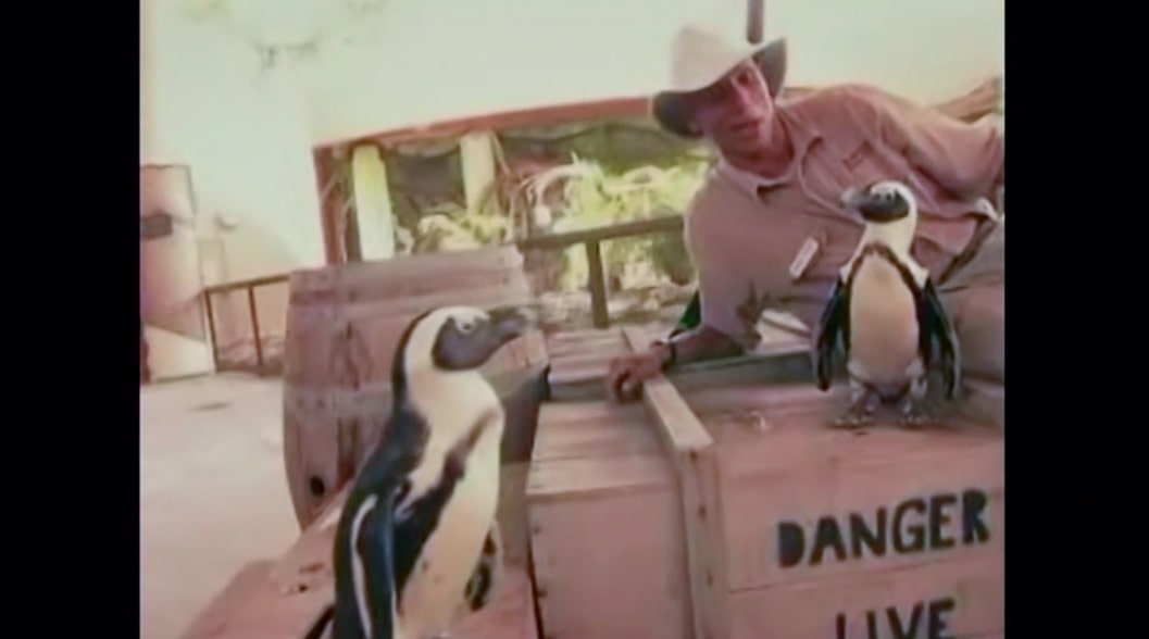 Dwayne Cunningham: Where is the Proxy Director Today?