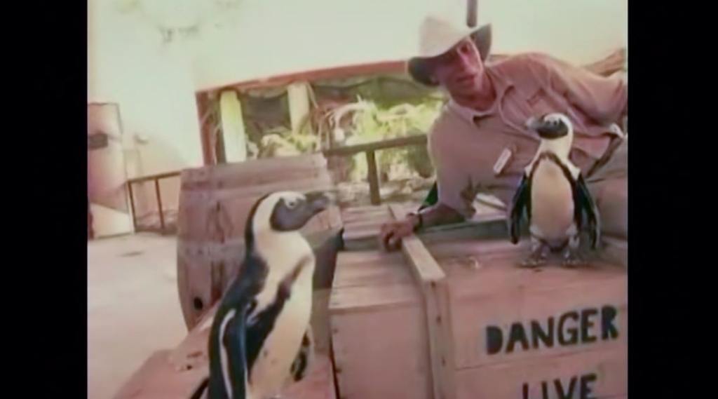 Dwayne Cunningham: Where is the Proxy Director Today?