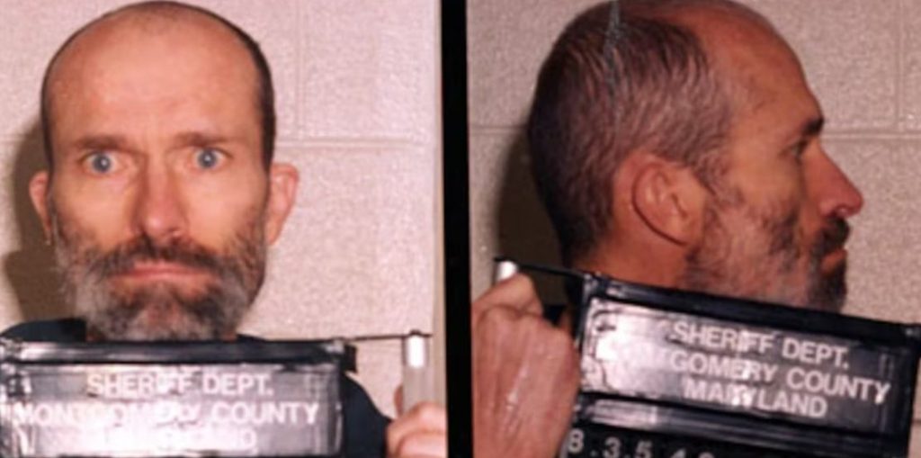 Laura Houghteling: How Did She Die? Who Killed Her?