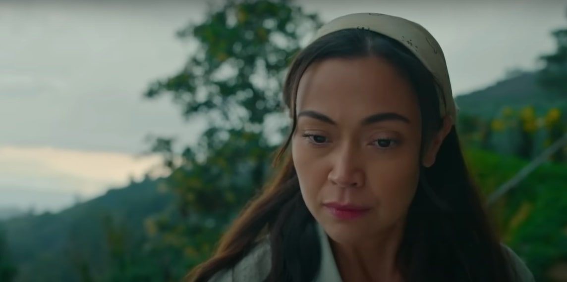 Lavender Fields: Is Netflix's Philippine Drama a True Story?