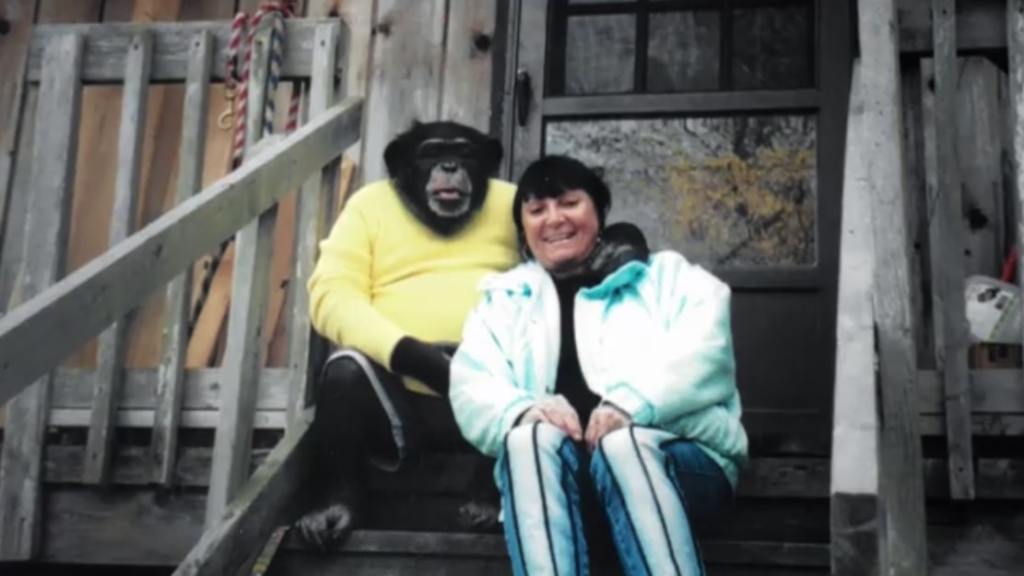 Sandra and Jerome Herold: What Happened to Frank's Owners?