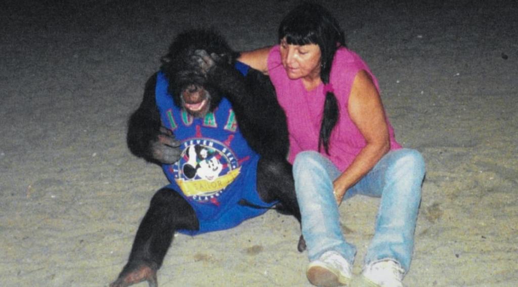 Sandra and Jerome Herold: What Happened to Frank's Owners?