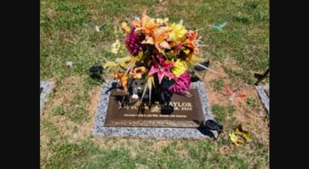 Vincent Taylor Murder: Where is Tempest Cymone Daniel Today?