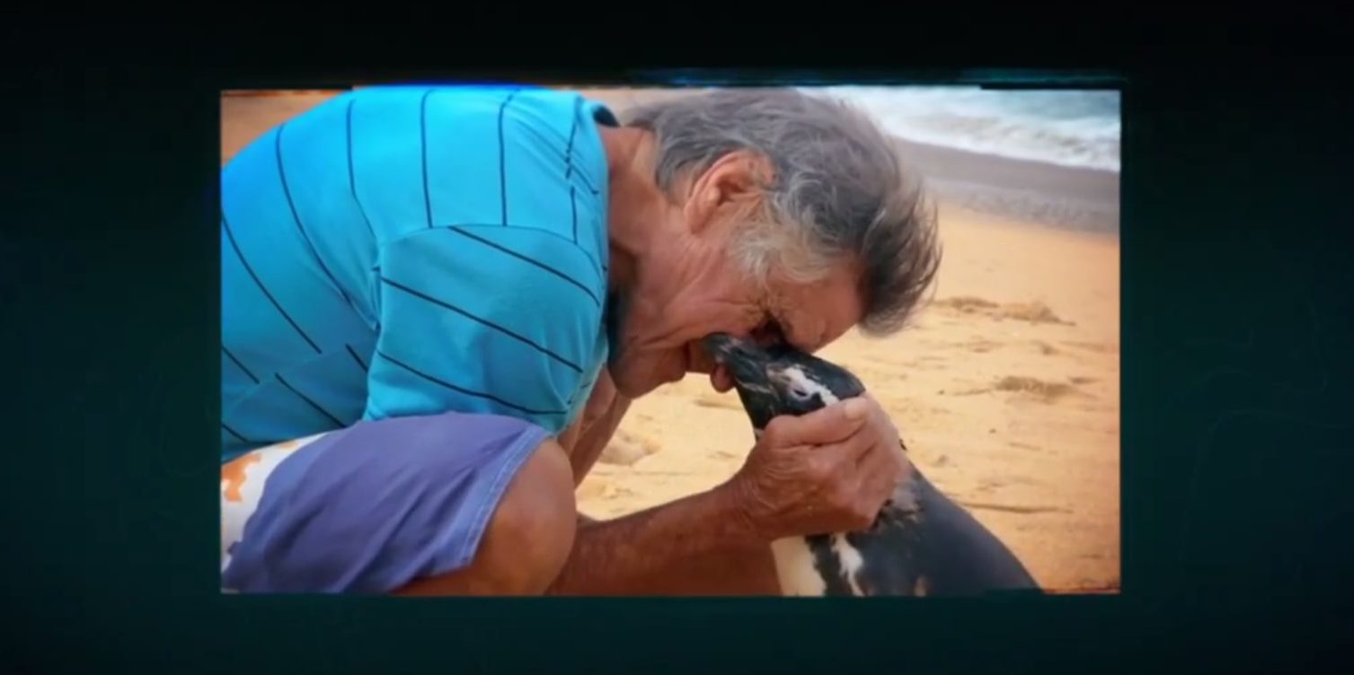 My Penguin Friend: Is João Pereira de Souza Based on a Real Fisherman ...