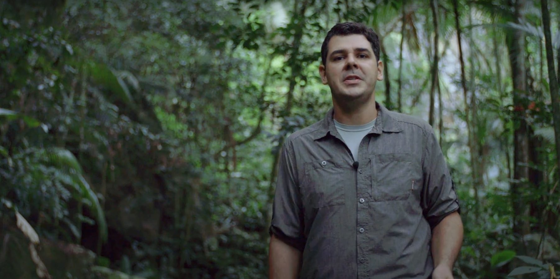 My Penguin Friend: Is Paulo Based on a Real Wildlife Documentarian ...