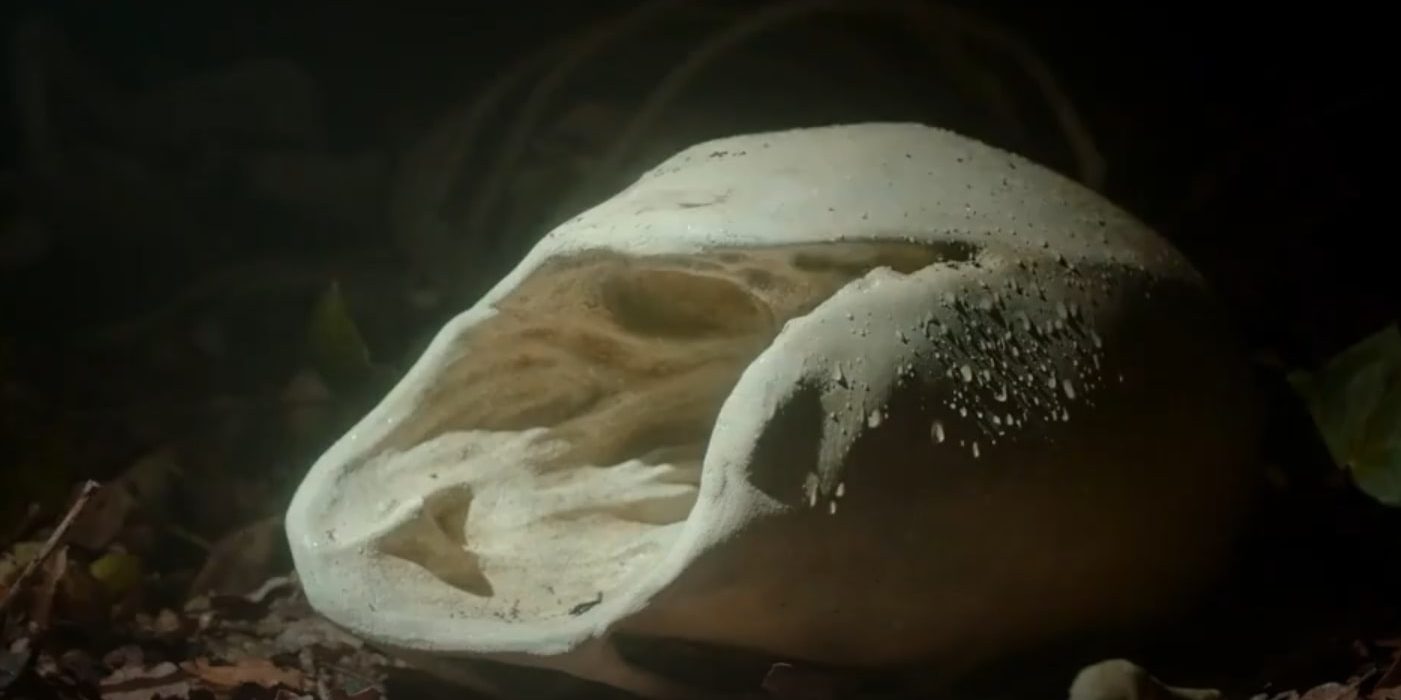 Daddy's Head Ending, Explained: Does Isaac Accept Laura As His Mother?