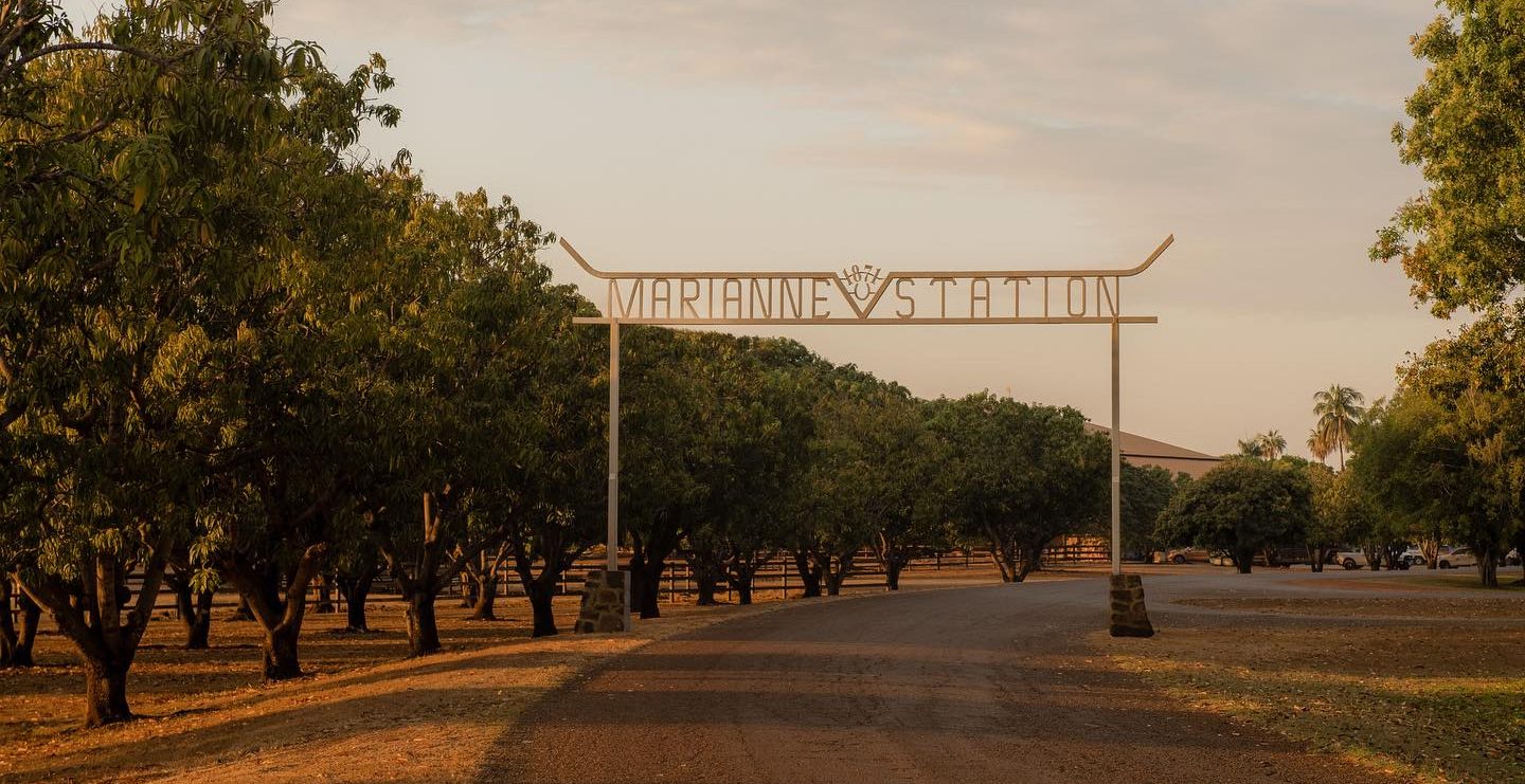 Where is Netflix's Territory Filmed?