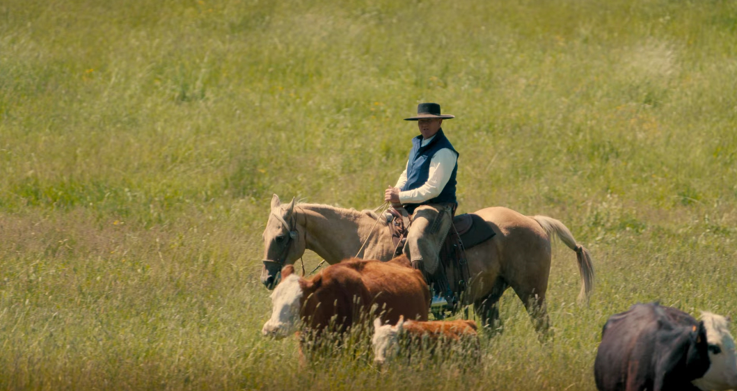 MT Anderson, Mat Carter, Herschel Lantis, Darwin Hodges: Where Are the ...