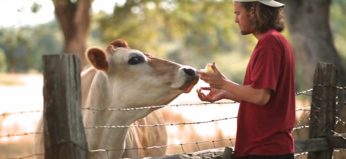 7 Best Vegetarian Documentaries on Netflix Right Now