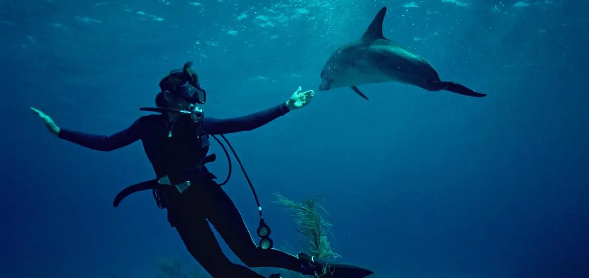 13 Best Movies About Climate Change on Netflix Right Now