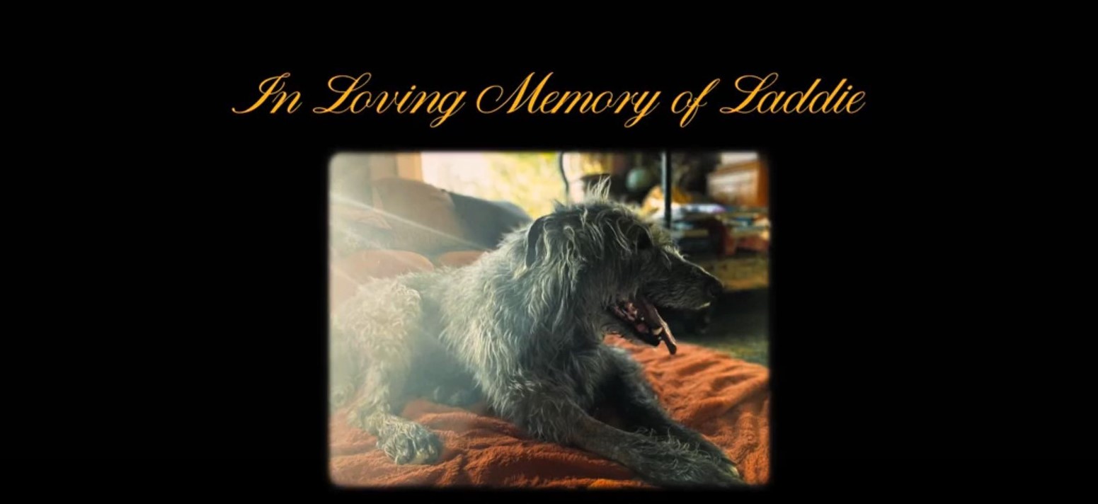 Nutcrackers Tribute: Whose Dog Was Laddie?