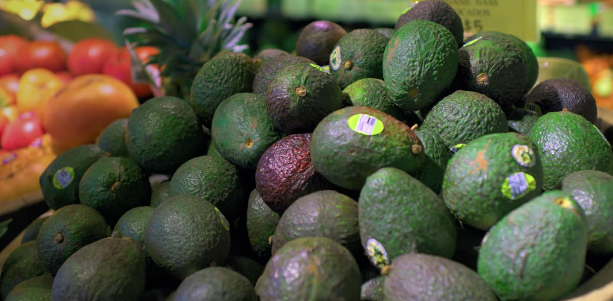 7 Best Vegetarian Documentaries on Netflix Right Now