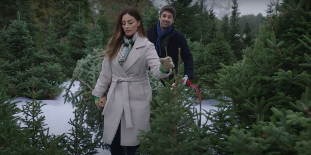 Hallmark's A Dance in the Snow: Filming Locations and Cast, Explored
