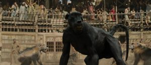 What Are the Monkey-Like Animals in Gladiator II? Do They Really Exist?