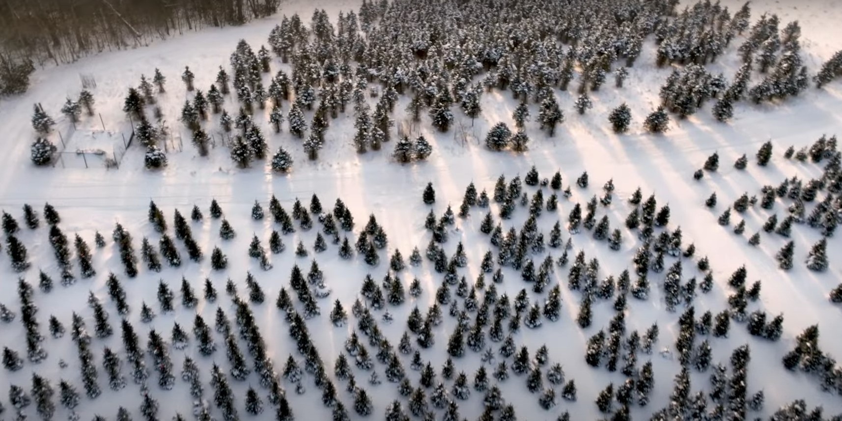 Hallmark's A Dance in the Snow: Filming Locations and Cast, Explored