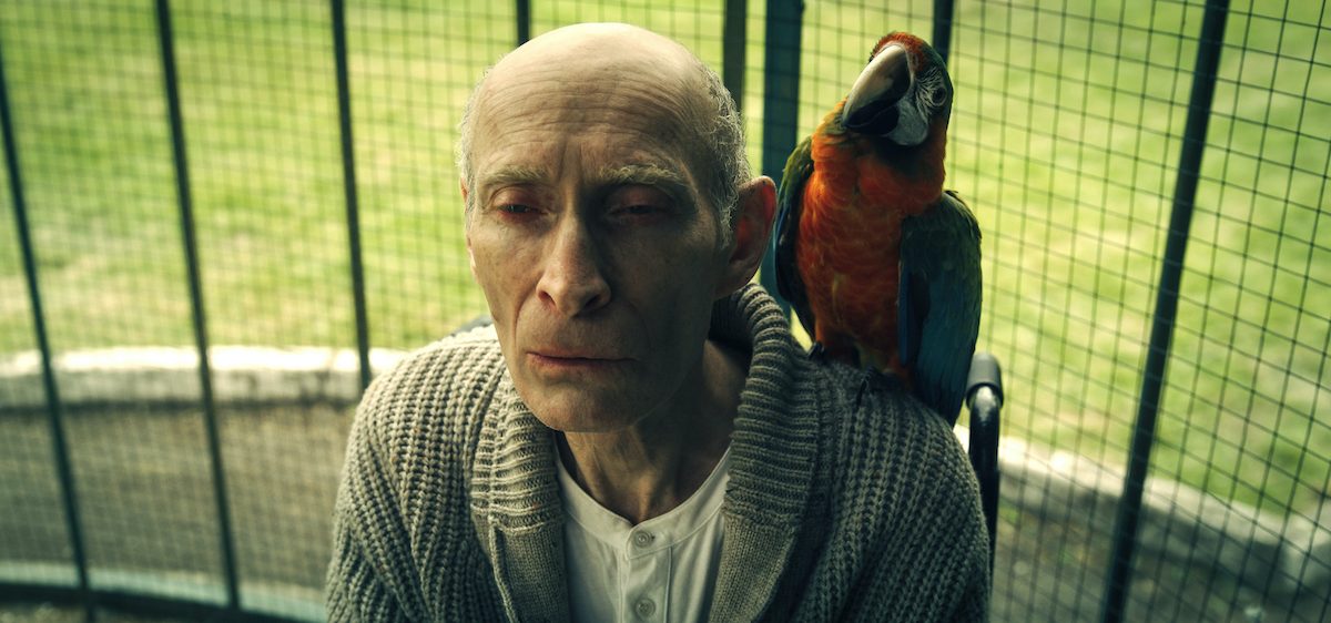 Who is Judi Spannegel in Wednesday Season 2? Who Plays Her?