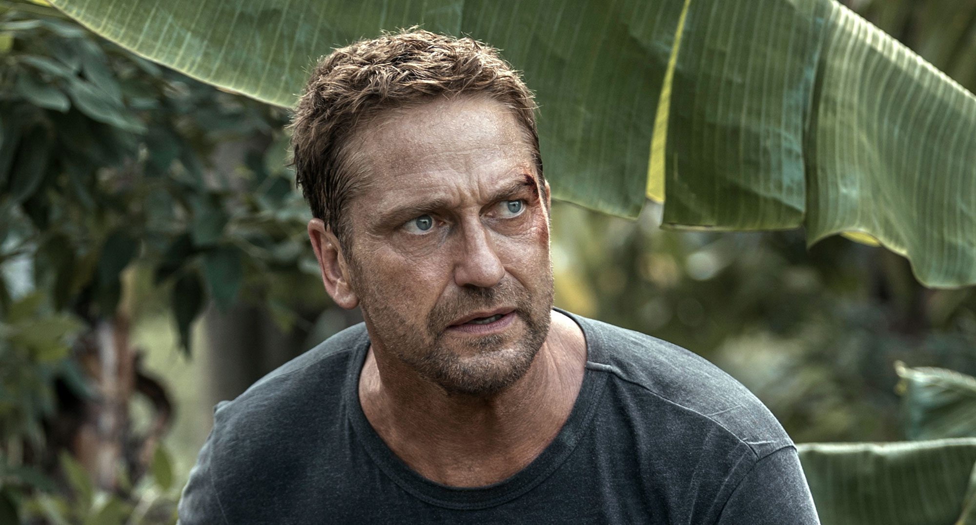 Gerard Butler's ‘Breaking The Empire State' Starts Filming in Australia ...