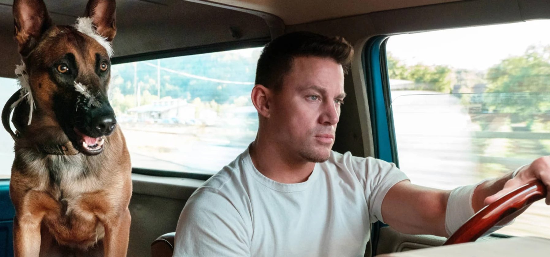 List of All Channing Tatum Movies on Netflix Right Now